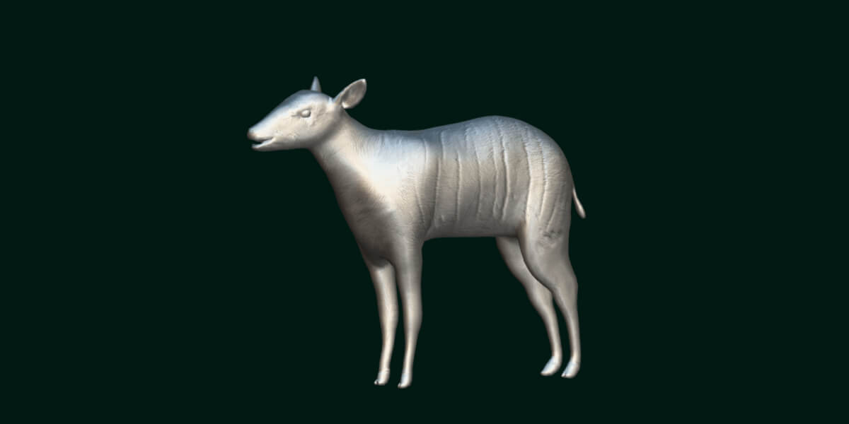 Eastern Bongo Female Antelope - 3D Model by Nyilonelycompany