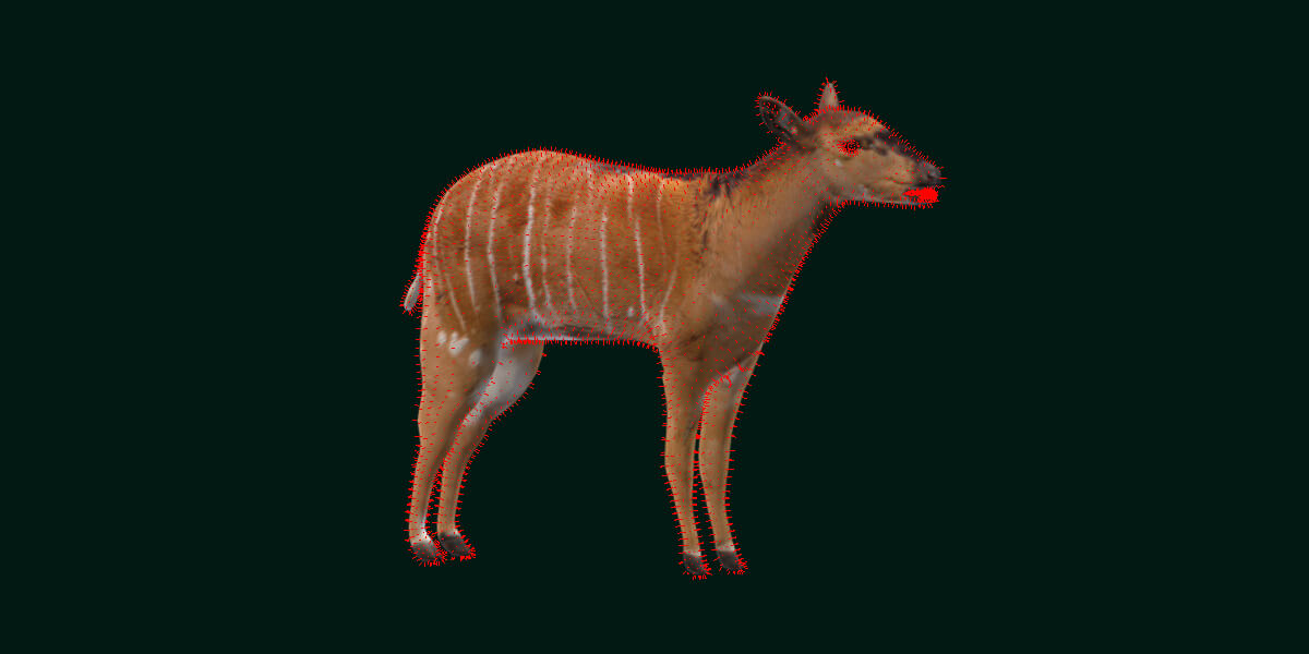 Eastern Bongo Female Antelope - 3D Model by Nyilonelycompany