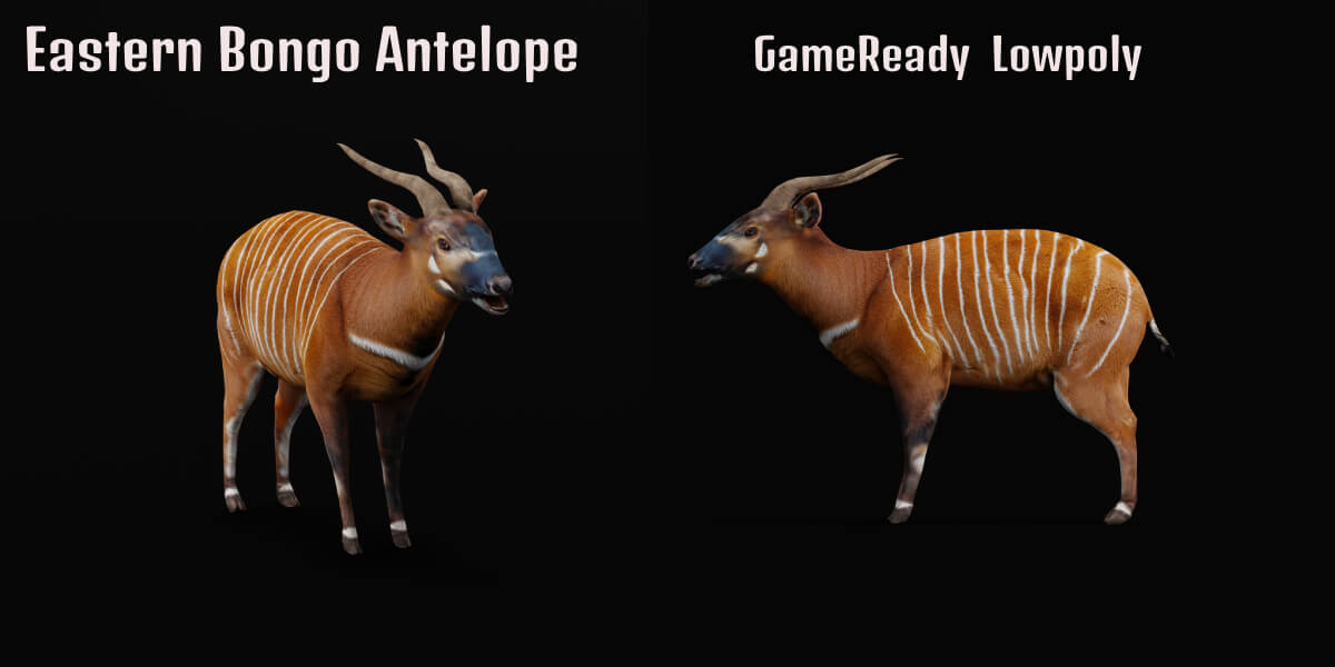 Eastern Bongo Male Antelope - 3D Model by Nyilonelycompany