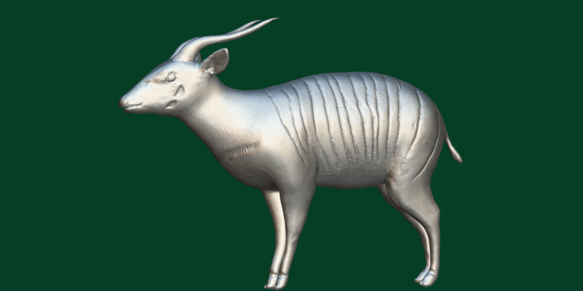 Eastern Bongo Male Antelope - 3D Model by Nyilonelycompany