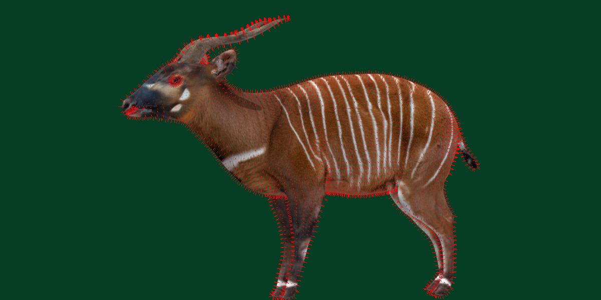Eastern Bongo Male Antelope - 3D Model by Nyilonelycompany