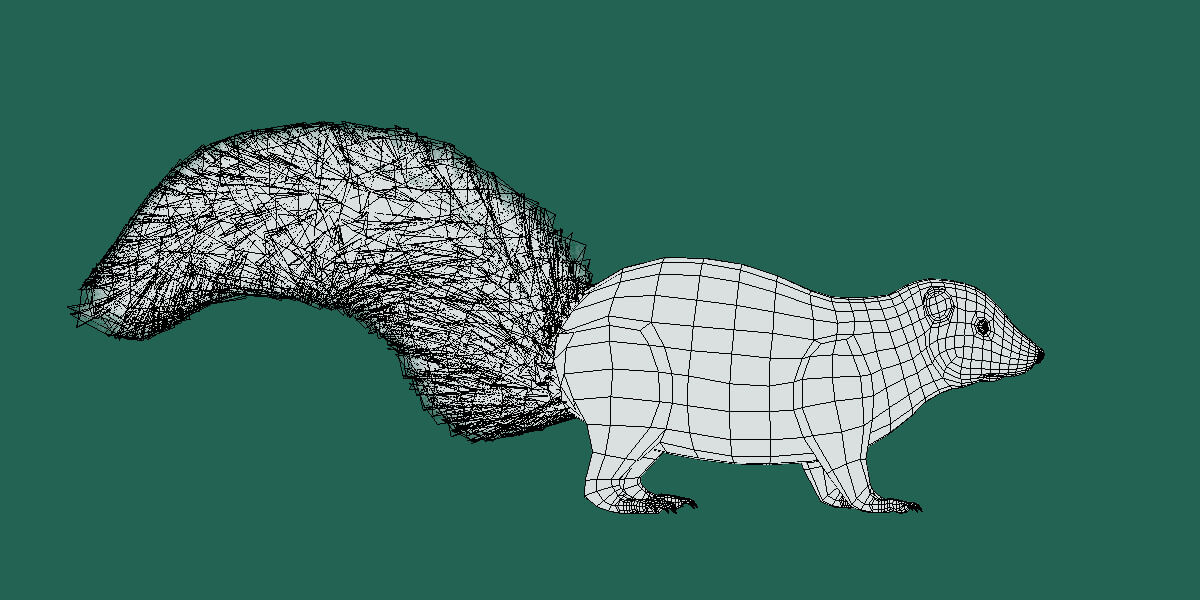 Eastern Spotted Skunk - 3D Model by Nyilonelycompany