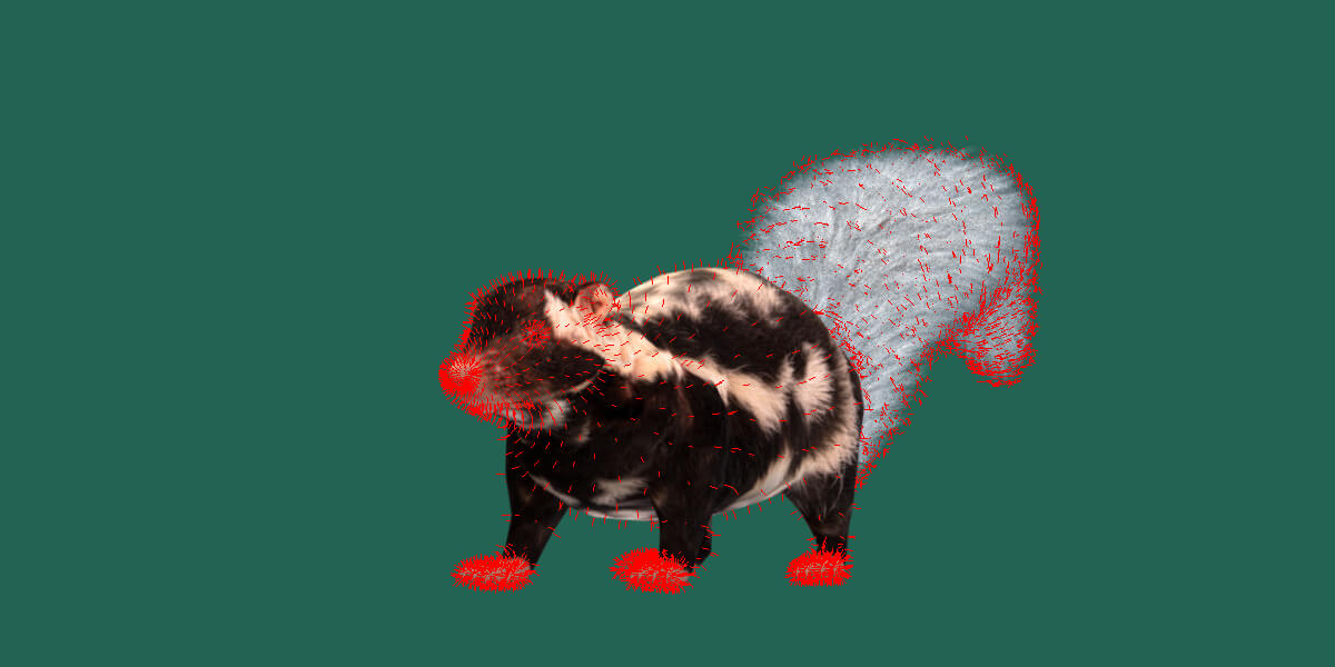 Eastern Spotted Skunk - 3D Model by Nyilonelycompany