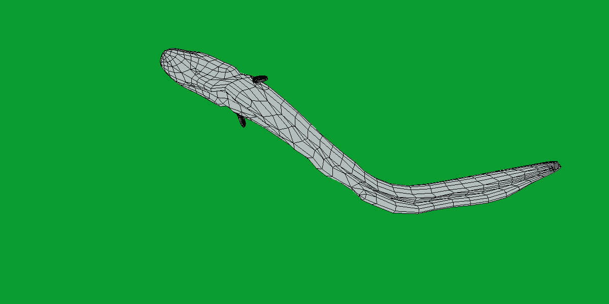 Electric Eel Fish - 3D Model by Nyilonelycompany