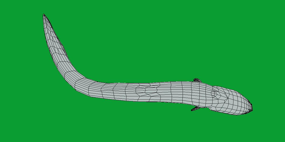 Electric Eel Fish - 3D Model by Nyilonelycompany