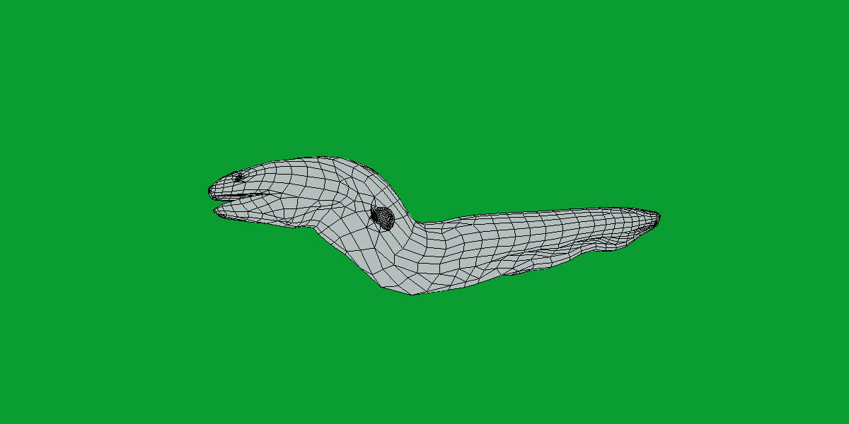 Electric Eel Fish - 3D Model by Nyilonelycompany