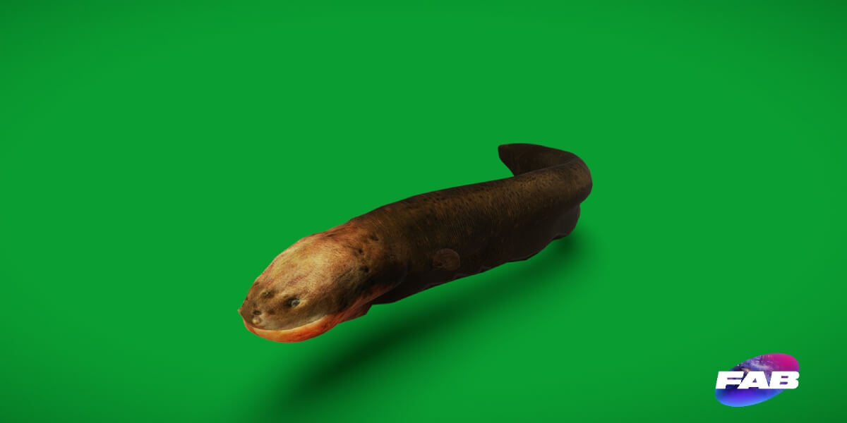 Electric Eel Fish - 3D Model by Nyilonelycompany