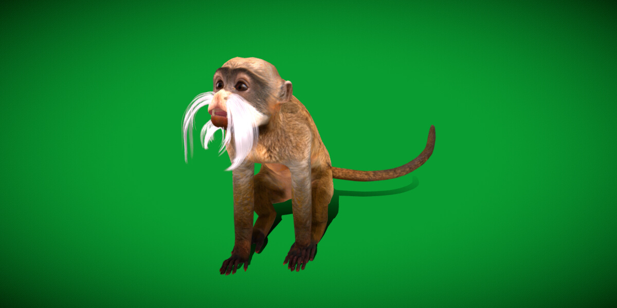Emperor Tamarin Monkey - 3D Model by Nyilonelycompany