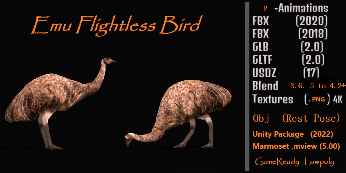 EMU Flightless Bird - 3D Model by Nyilonelycompany