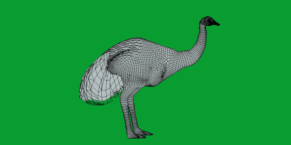 EMU Flightless Bird - 3D Model by Nyilonelycompany