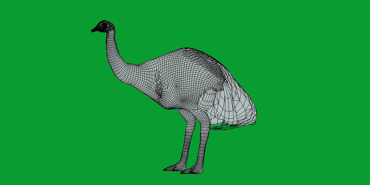 EMU Flightless Bird - 3D Model by Nyilonelycompany