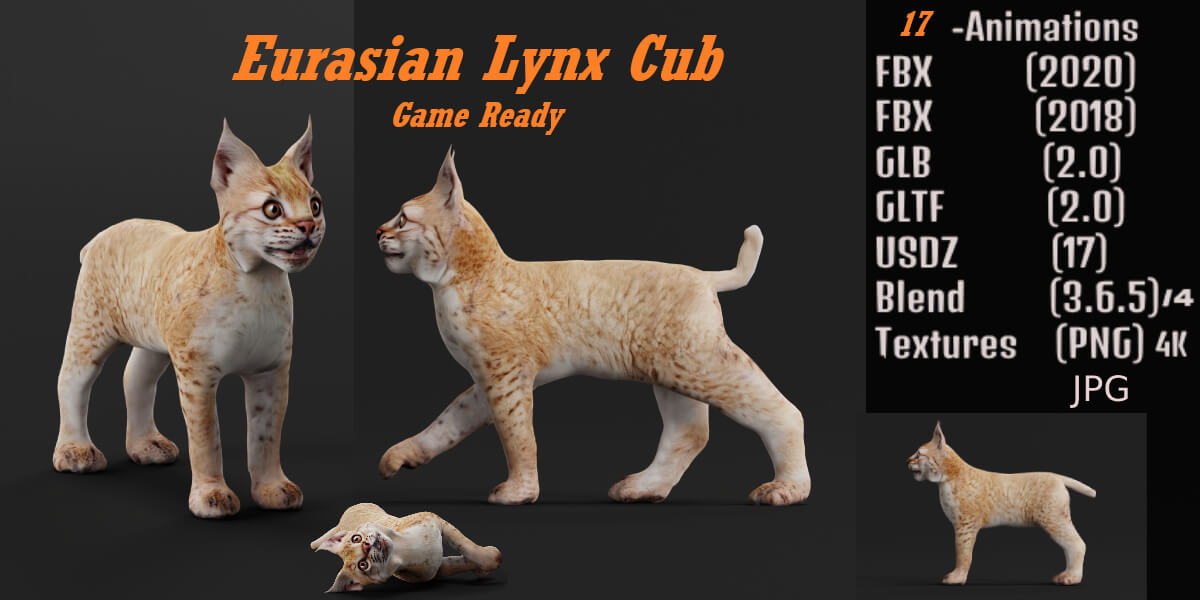 Eurasian Lynx Cub - 3D Model by Nyilonelycompany