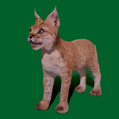 Glb 3D Models | Animals | Lynx | RenderHub