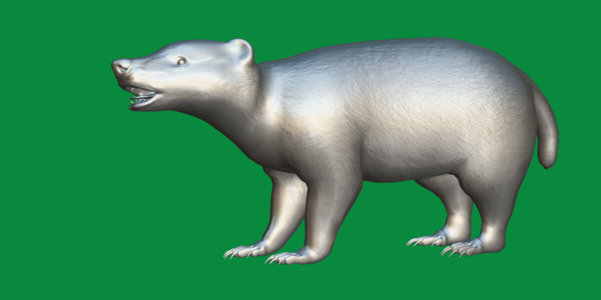 European Badger - 3D Model by Nyilonelycompany