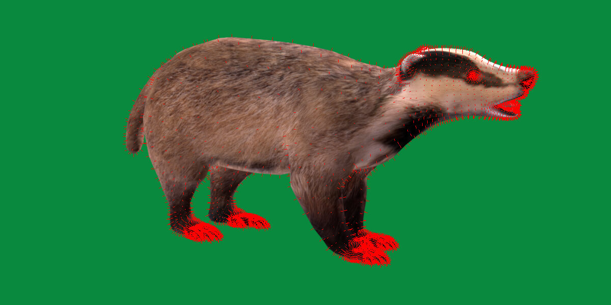 European Badger - 3D Model by Nyilonelycompany