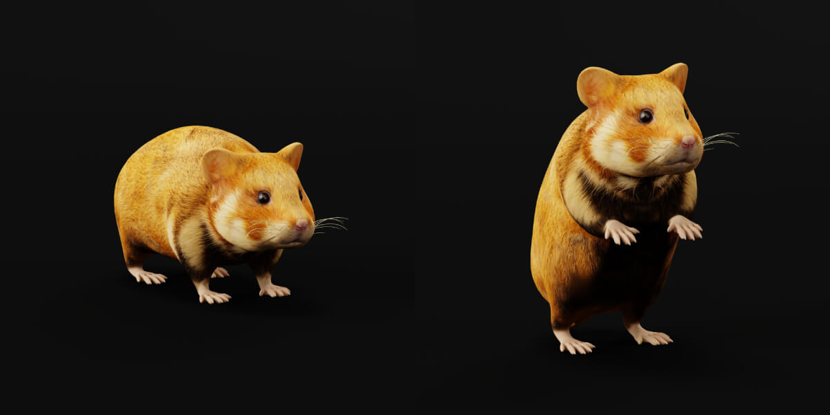 European Hamster - 3D Model by Nyilonelycompany