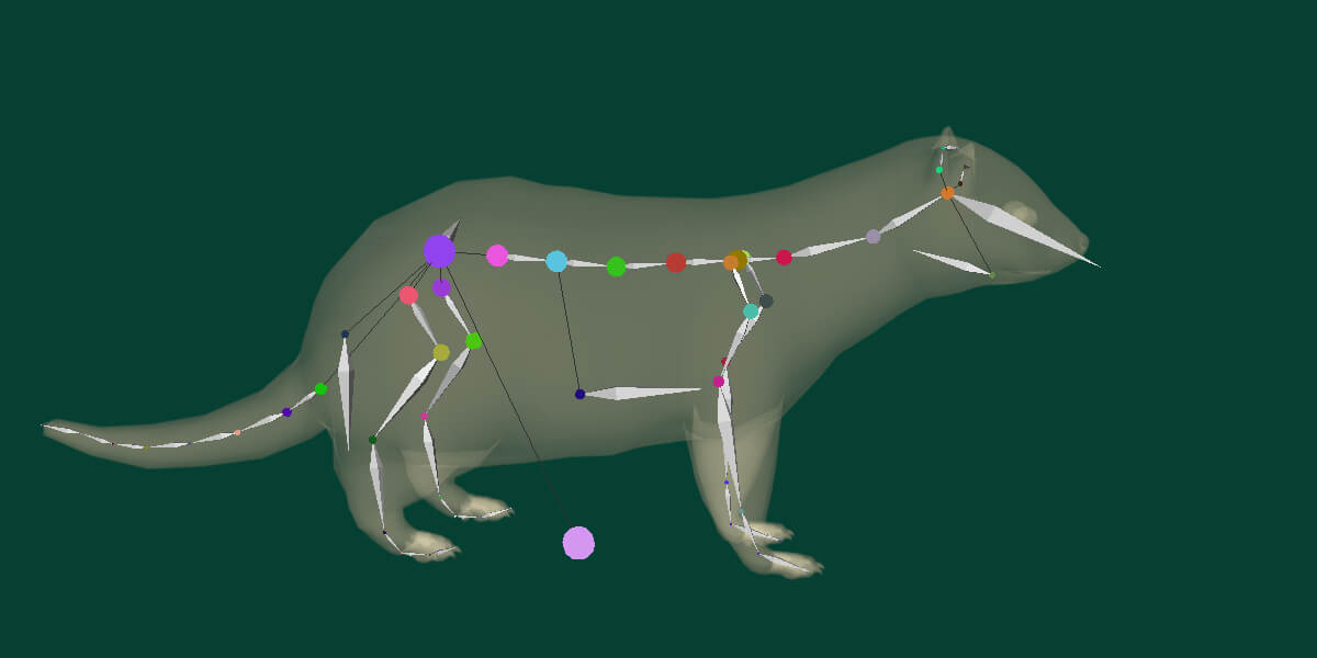 European Polecat - 3D Model by Nyilonelycompany