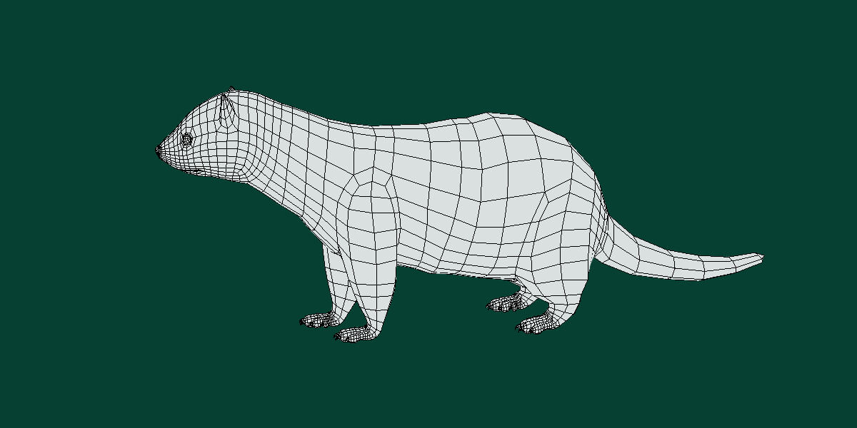 European Polecat - 3D Model by Nyilonelycompany