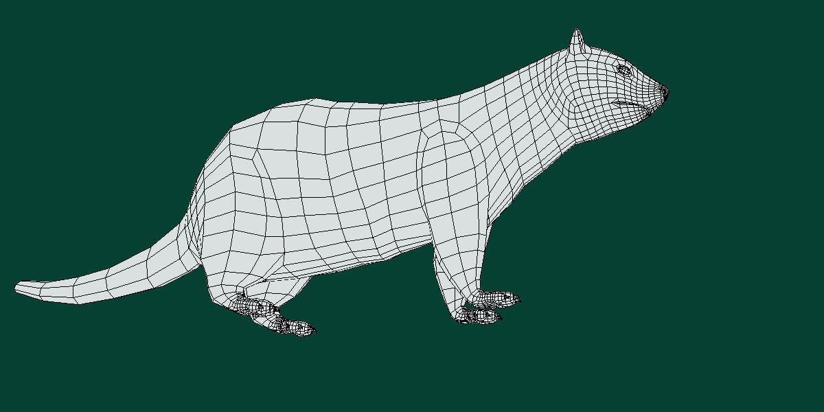 European Polecat - 3D Model by Nyilonelycompany