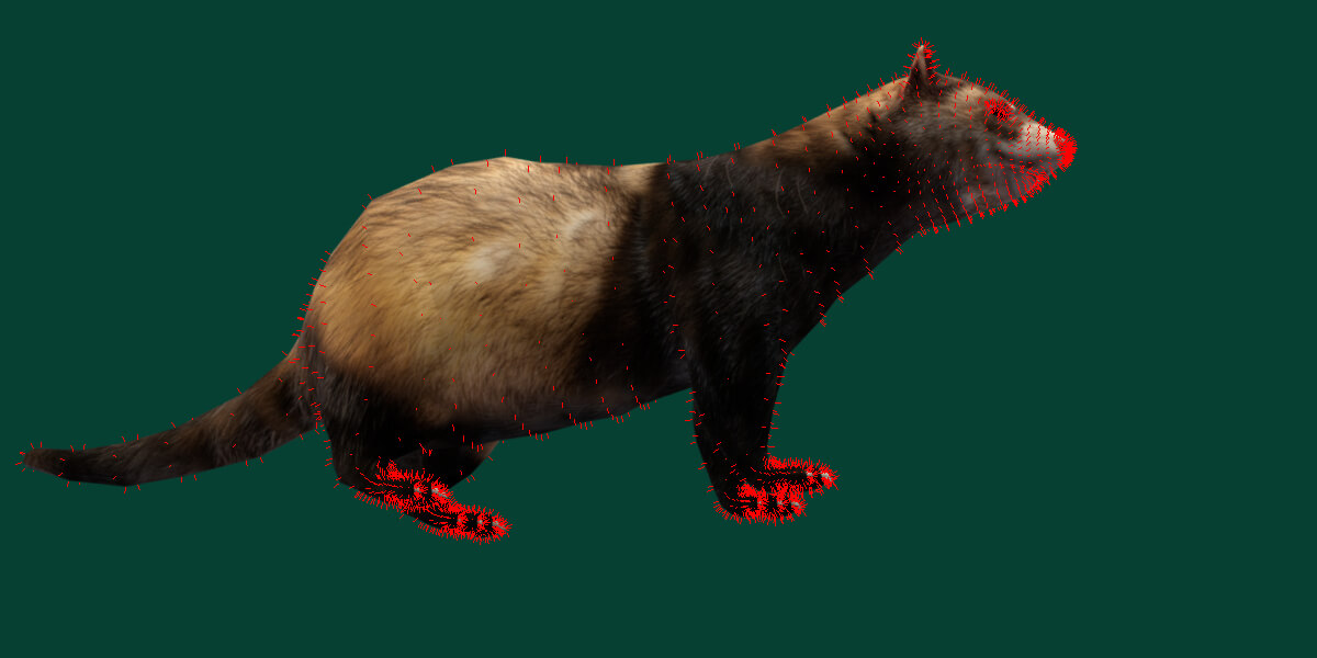 European Polecat - 3D Model by Nyilonelycompany