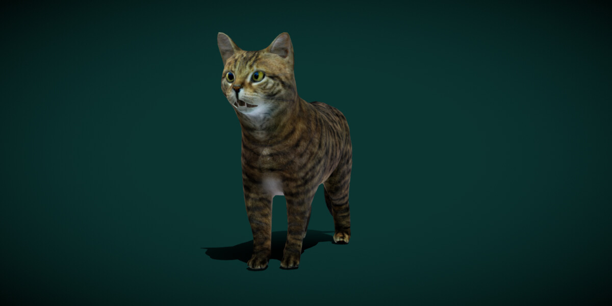 European Wildcat Animal - 3D Model by Nyilonelycompany