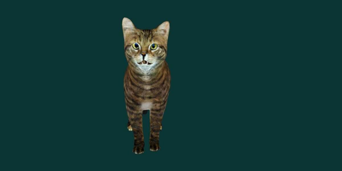 European Wildcat Animal - 3D Model by Nyilonelycompany