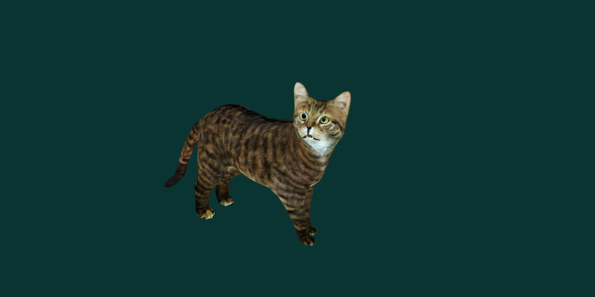 European Wildcat Animal - 3D Model by Nyilonelycompany