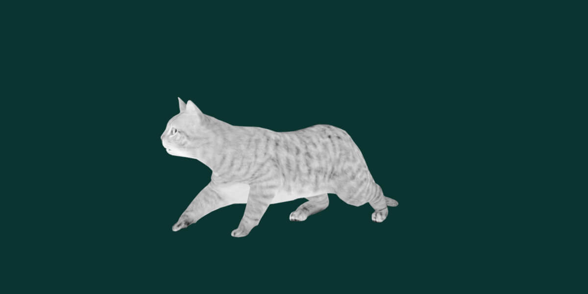 European Wildcat Animal - 3D Model by Nyilonelycompany