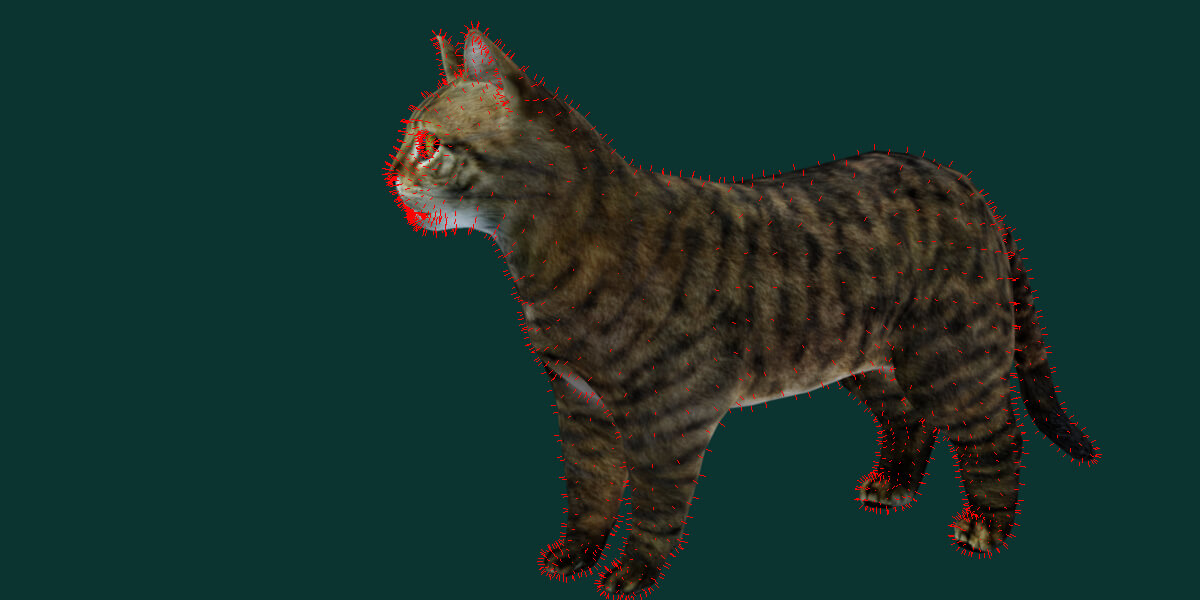 European Wildcat Animal - 3D Model by Nyilonelycompany
