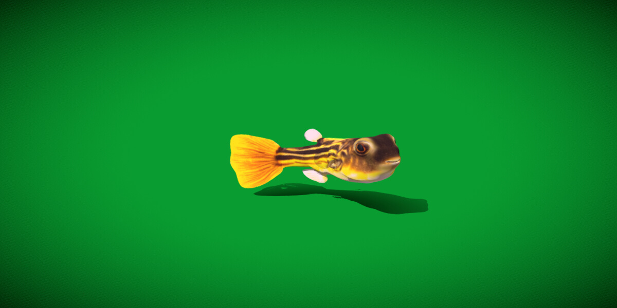 Fahaka Nile Pufferfish - 3D Model by Nyilonelycompany