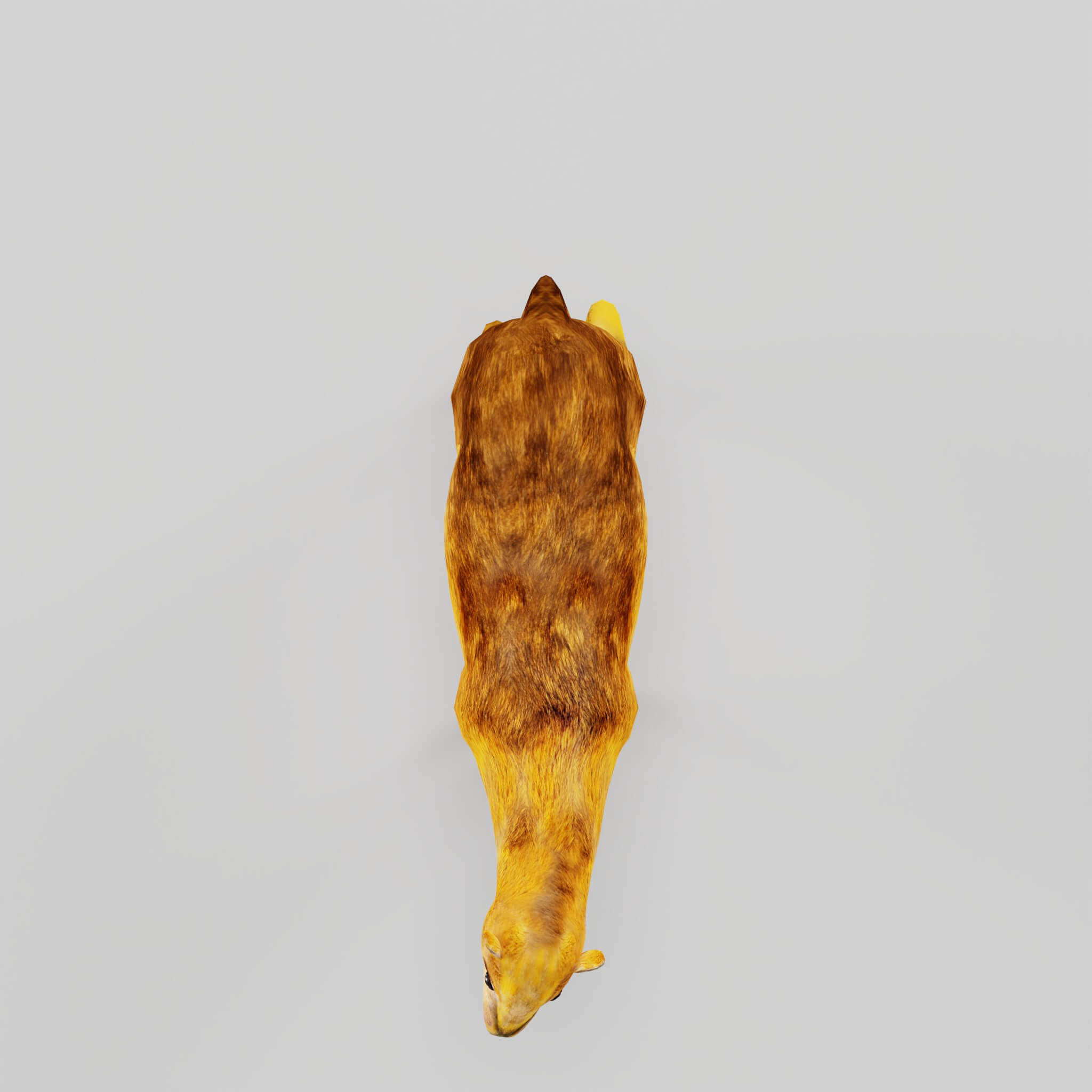 Fanged Mouse-Deer Chevrotain Animal 3D Model by Nyilonelycompany