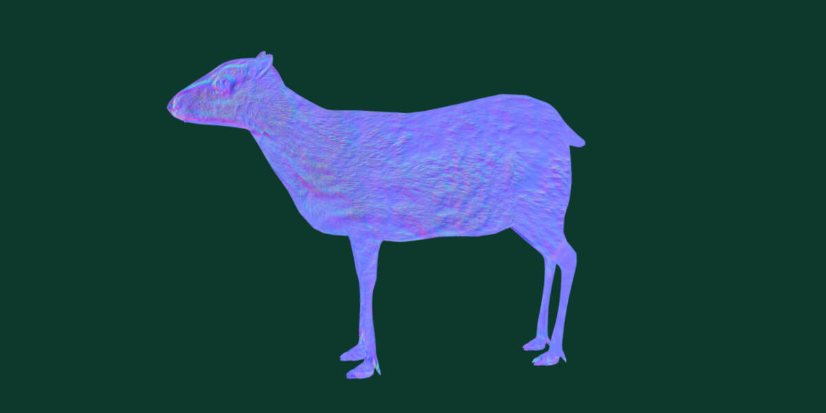 Fanged Mouse-Deer Chevrotain Animal 3D Model by Nyilonelycompany