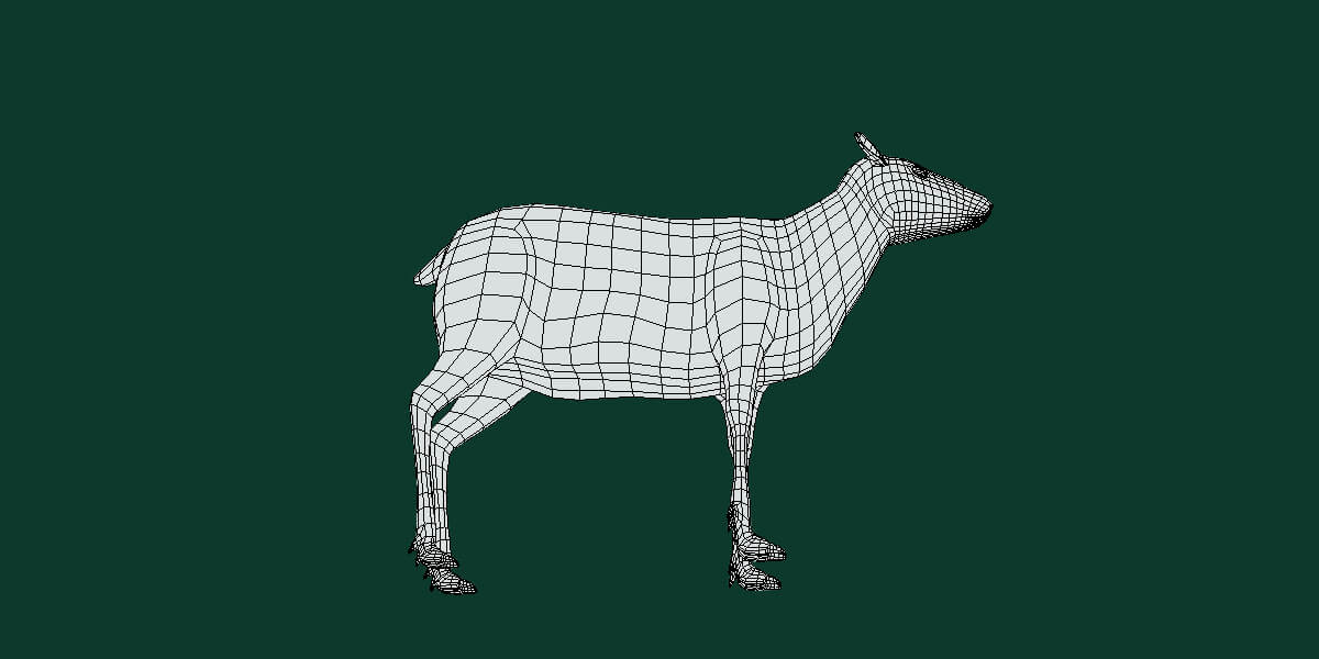 Fanged Mouse-Deer Chevrotain Animal 3D Model by Nyilonelycompany