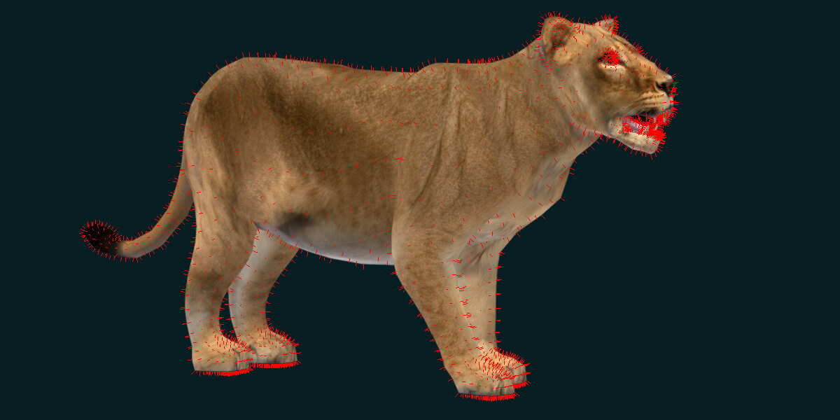 Female Southern African Lion - 3D Model by Nyilonelycompany