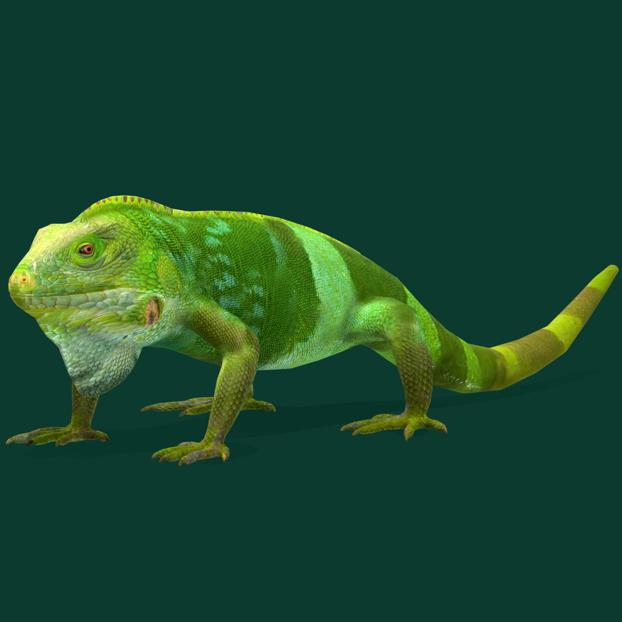 Fiji Banded Iguana Endangered Reptile - 3D Model by Nyilonelycompany
