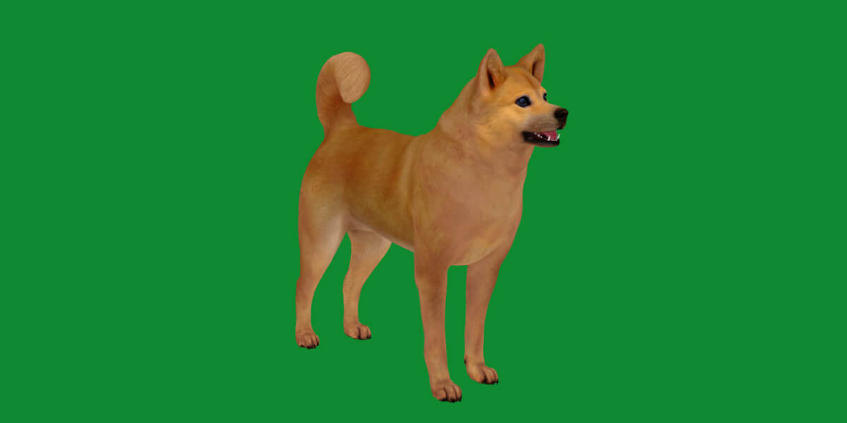 Finnish Spitz Dog - 3D Model by Nyilonelycompany