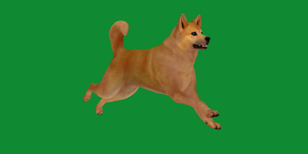 Finnish Spitz Dog - 3D Model by Nyilonelycompany