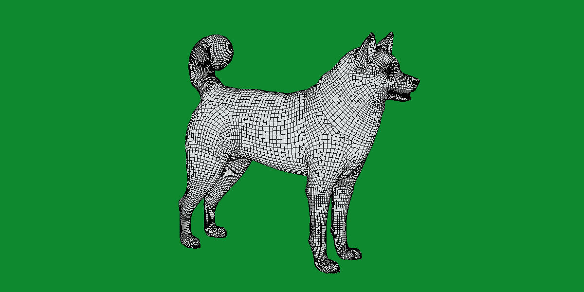 Finnish Spitz Dog - 3D Model by Nyilonelycompany