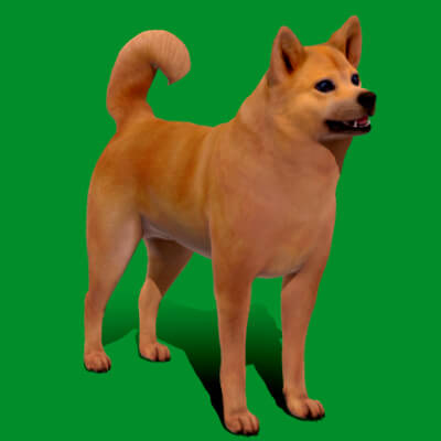 Finnish Spitz Dog - 3D Model by Nyilonelycompany