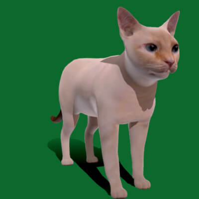 Gltf 3D Models | Animals | Cats | RenderHub