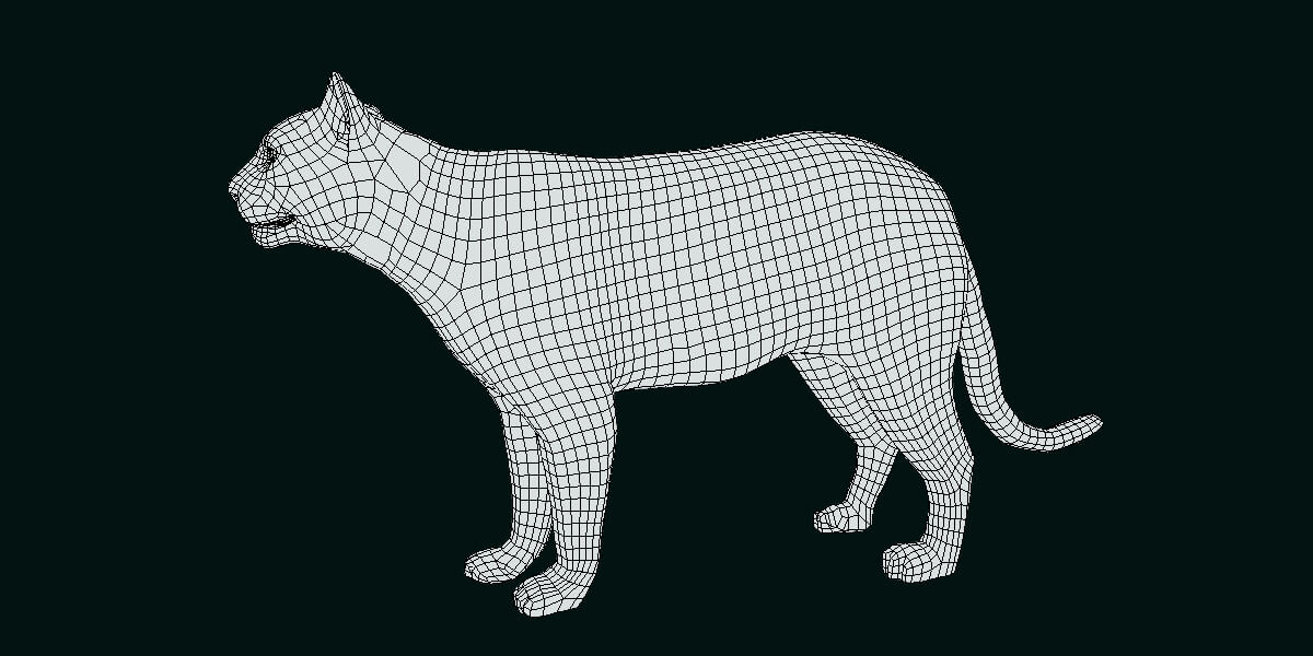 Florida Panther Puma - 3D Model by Nyilonelycompany