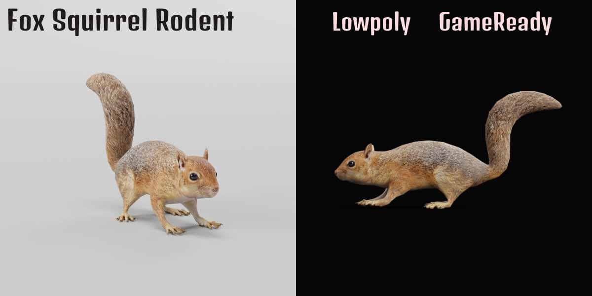 Fox Squirrel Rodent - 3D Model by Nyilonelycompany