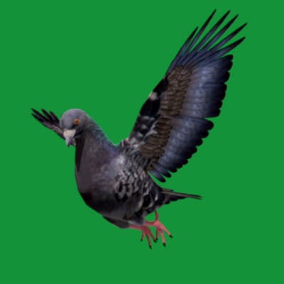 Glb 3D Models | Birds | RenderHub