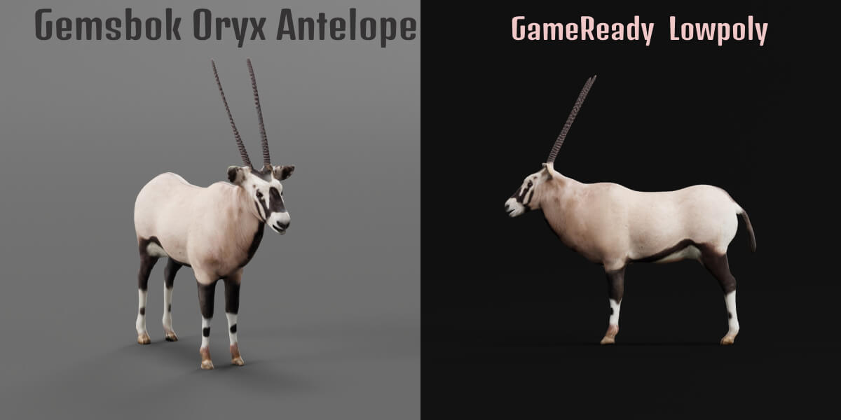 Gemsbok Oryx Antelope - 3D Model by Nyilonelycompany