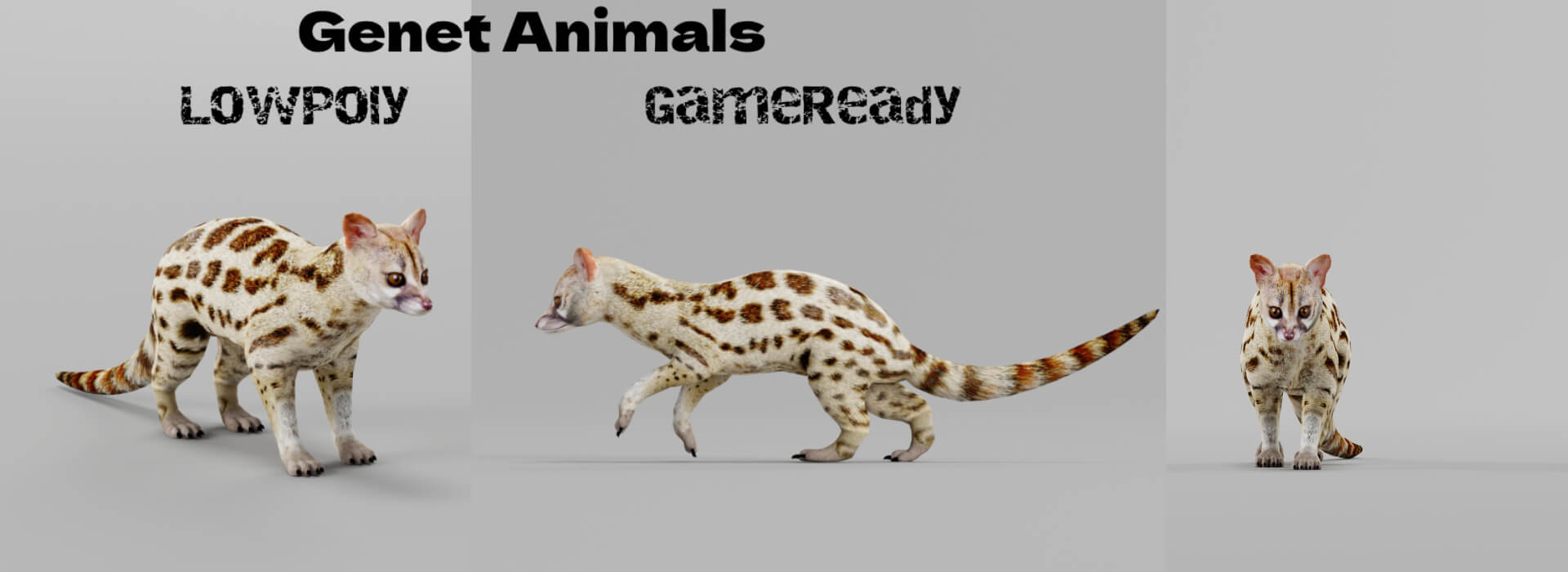 Genet Animals - 3D Model by Nyilonelycompany
