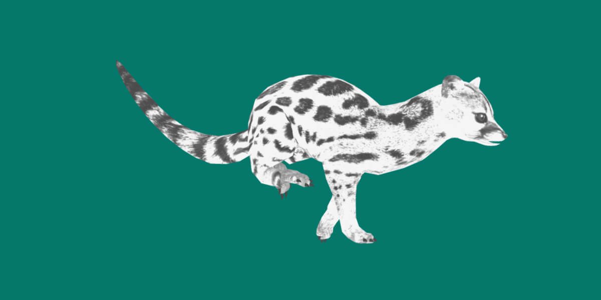 Genet Animals - 3D Model by Nyilonelycompany