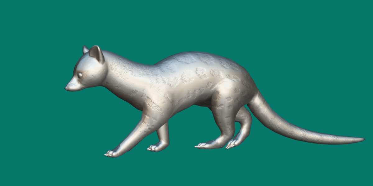 Genet Animals - 3D Model by Nyilonelycompany