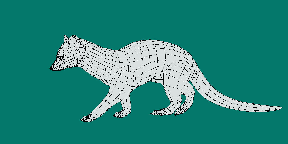 Genet Animals - 3D Model by Nyilonelycompany