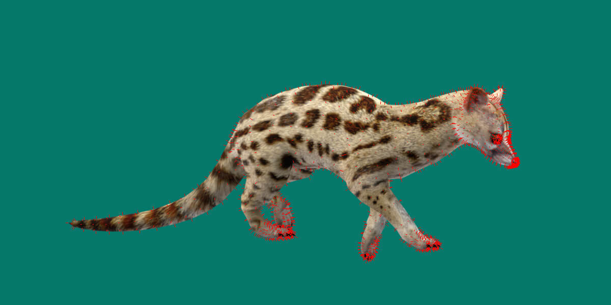 Genet Animals - 3D Model by Nyilonelycompany