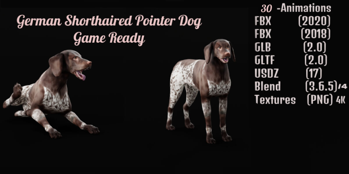 German Shorthaired Pointers Dog - 3D Model by Nyilonelycompany